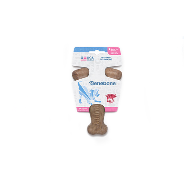 Benebone Puppy Wishbone Bacon SM - Durable Chew for Teething Puppies ...